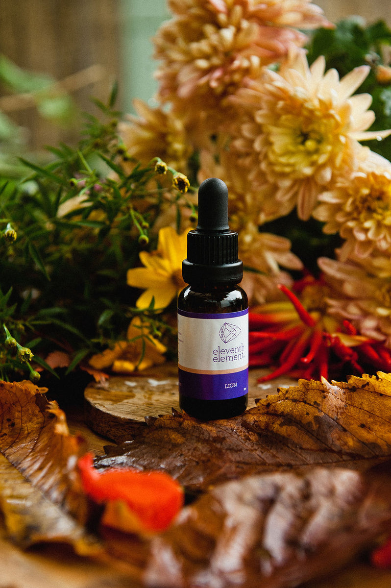 Lion – Eleventh Element